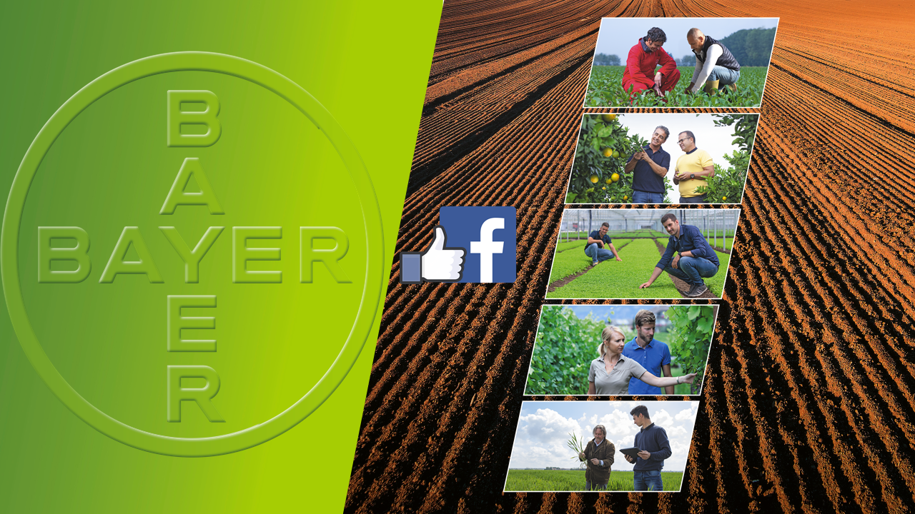 Bayer Crop Science Italia - soluzioni innovative per l'Agricoltura