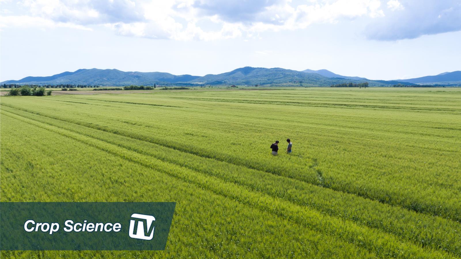 Bayer Crop Science Italia - soluzioni innovative per l'Agricoltura