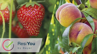 Come gestire i residui con l'intelligenza artificiale