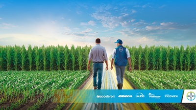 Mais italiano: le soluzioni Bayer da Dekalb a Preceon
