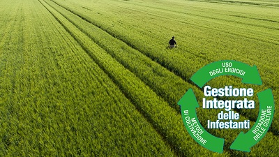 Cereali, malerbe sotto controllo grazie alla Gestione Integrata delle Infestanti