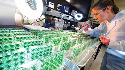 Bayer Crop Science | Meet the future, il biotech e l'Italia: cosa ci ...