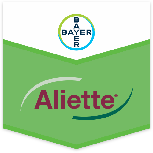 Aliette è il Fungicida per frutta e ortaggi | Bayer Crop Science