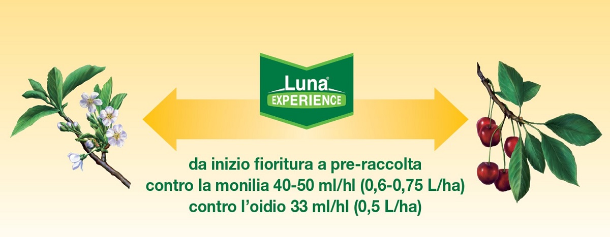 Luna Experience - Fungicidi | Bayer Crop Science