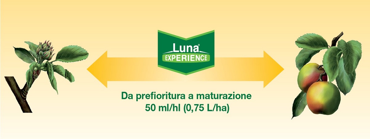 Luna Experience - Fungicidi | Bayer Crop Science
