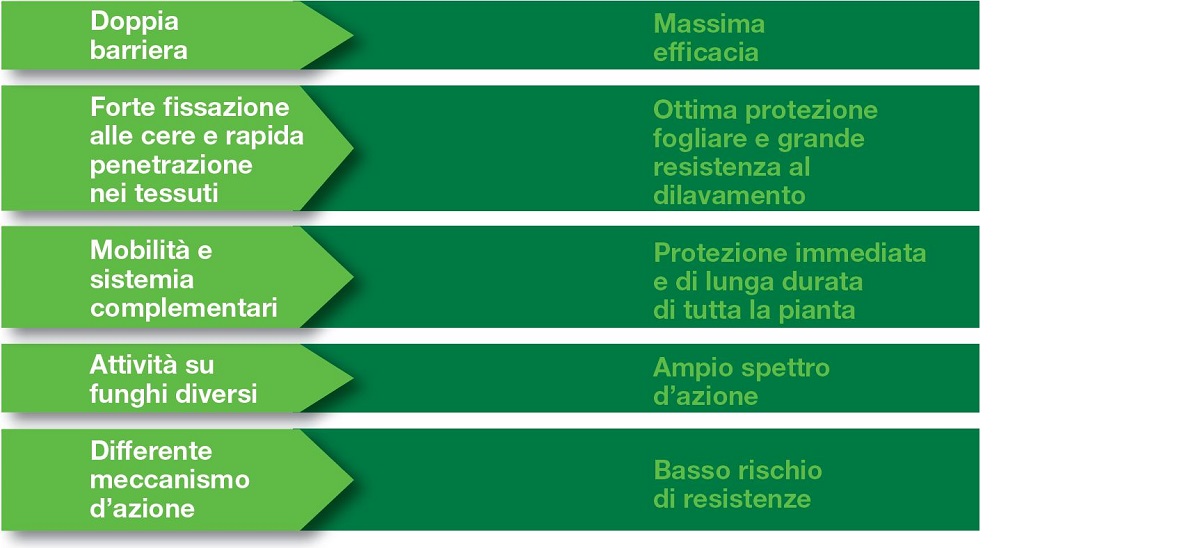 Luna Experience è il fungicida per fruttiferi ed asparago | Bayer Crop ...