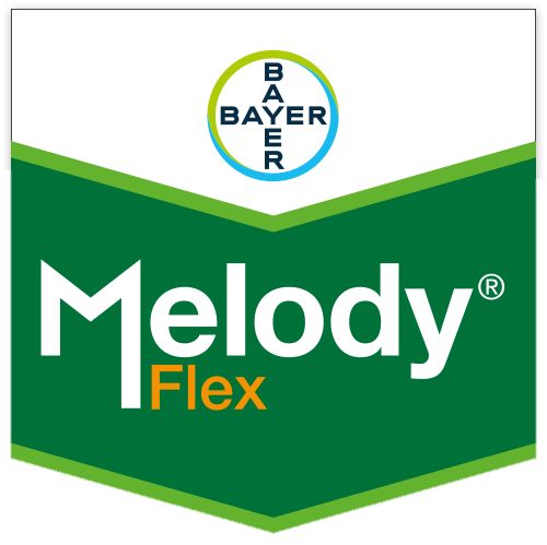 Melody Flex: nuovo fungicida per la vite da vino