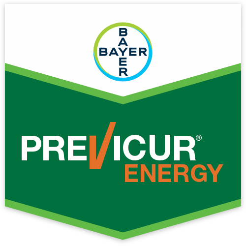 Previcur Energy - Fungicida Orticole, Tabacco e Ornamentali