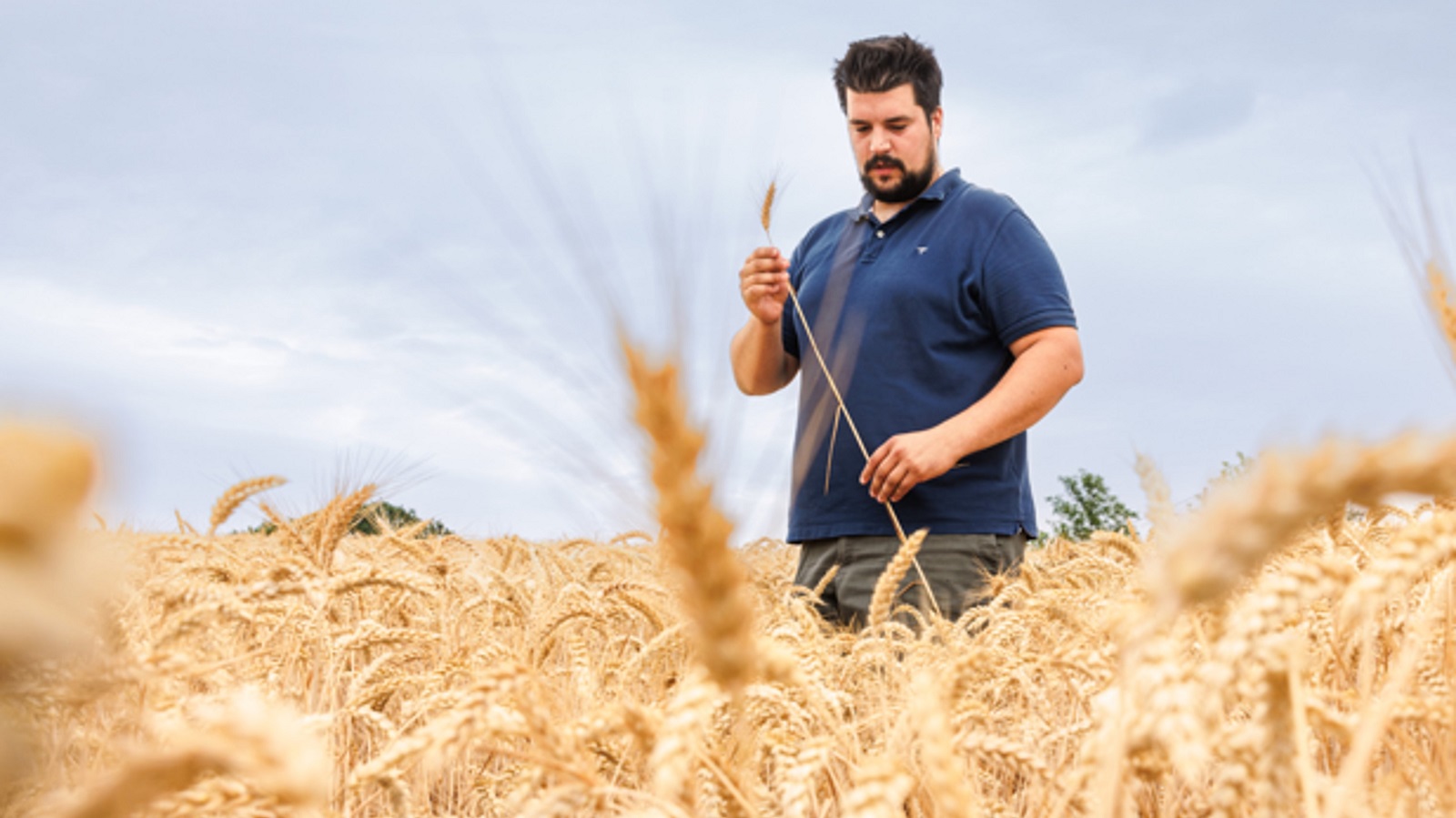 Proline Plus - Fungicidi | Bayer Crop Science