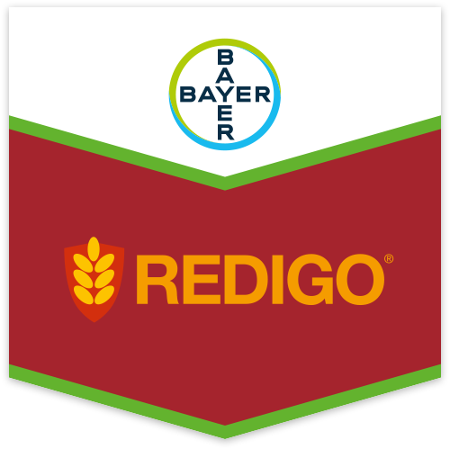 Redigo - Fungicida Sistemico per Concia dei Cereali