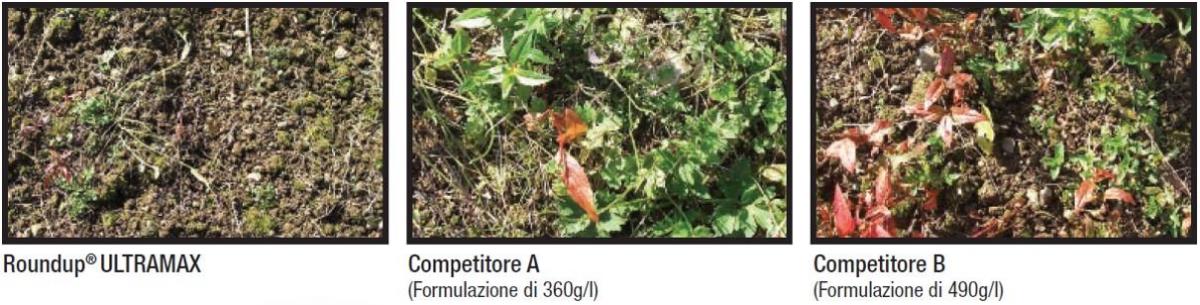 Roundup Ultramax - Erbicidi | Bayer Crop Science