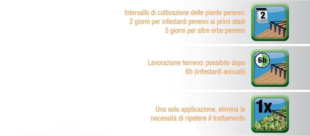 Roundup Ultramax - Erbicidi | Bayer Crop Science